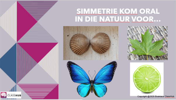 Wiskunde - Simmetrie - Brainiacs Tutoring Centre